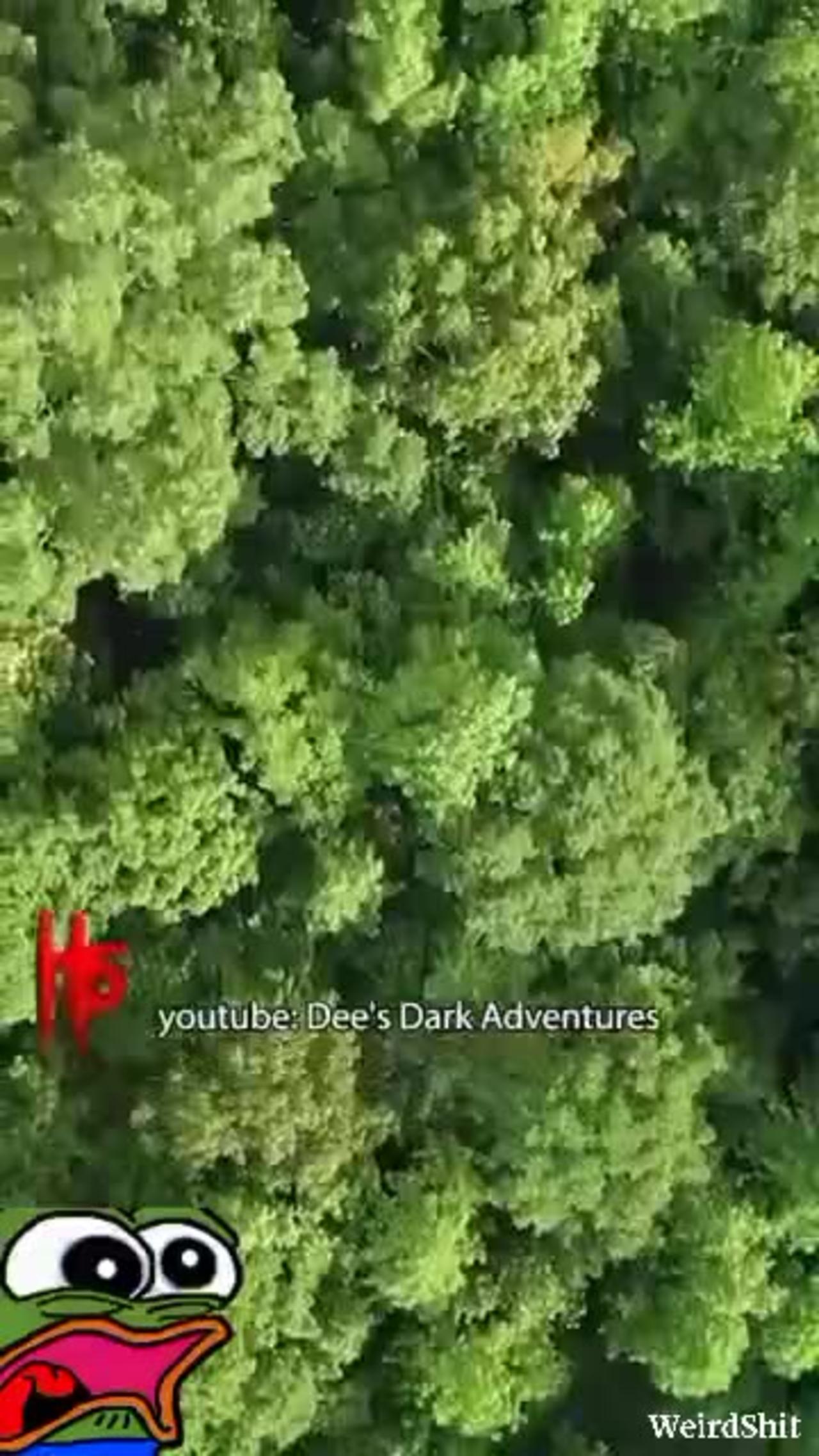 STRANGE CRYPTID CAPTURED ON CAMERA!? - One News Page VIDEO