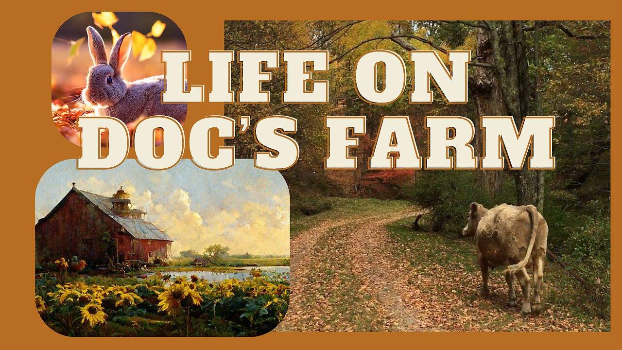 Life on Doc's Farm : Mavis Institute 🎵 - One News Page VIDEO