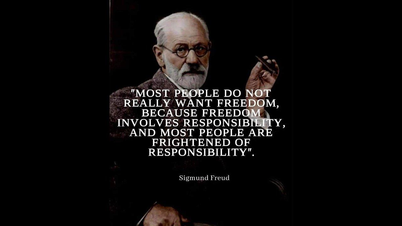 Hawks Mustard Seeds w/ brief David Snedeker - One News Page VIDEO