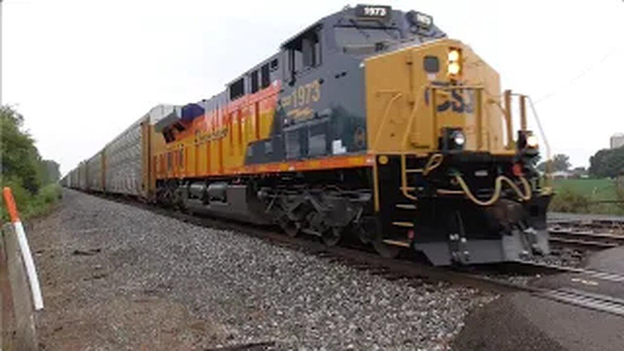 CSX 1973 Chessie System Heritage Unit on M216 - One News Page VIDEO