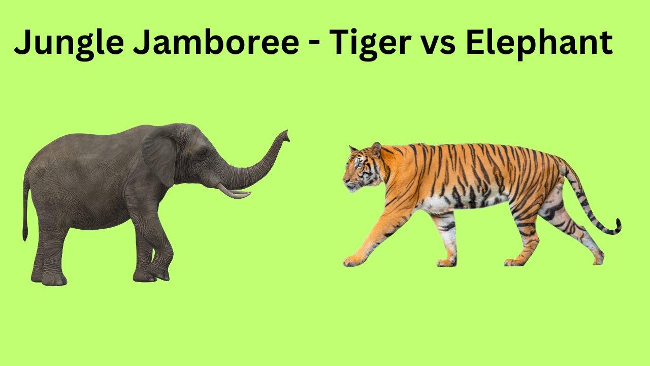 Jungle Jamboree - Tiger vs Elephant - One News Page VIDEO