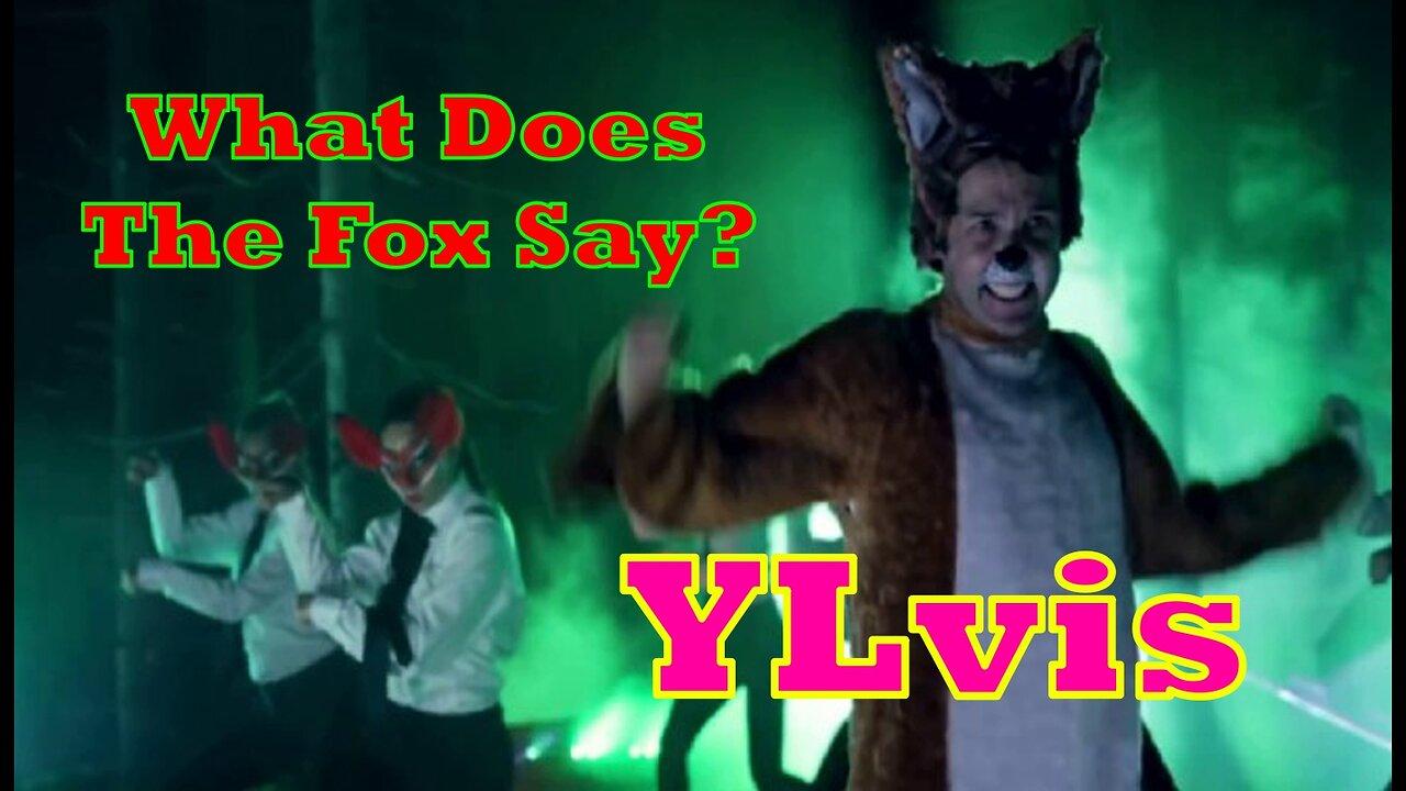 What Does The Fox Say? - YLvis - One News Page VIDEO