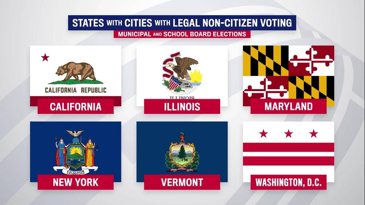 Why Americans for Citizen Voting - One News Page VIDEO