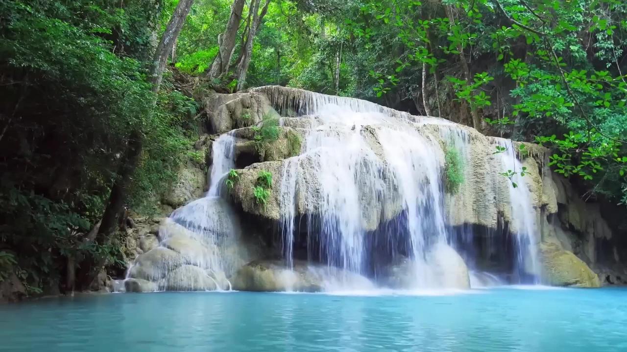 Relaxing music for stress relief, forest nature - One News Page VIDEO