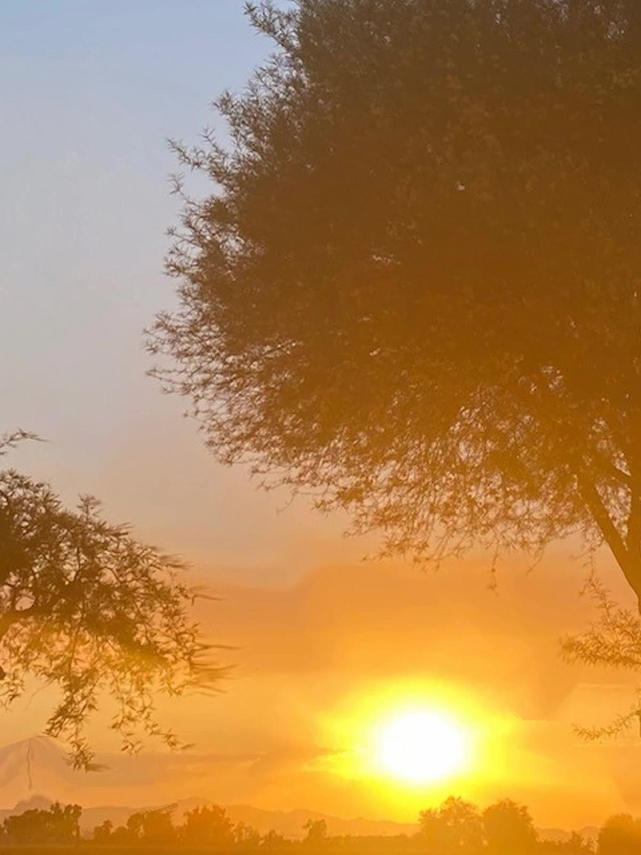 Afternoon Sun - One News Page VIDEO