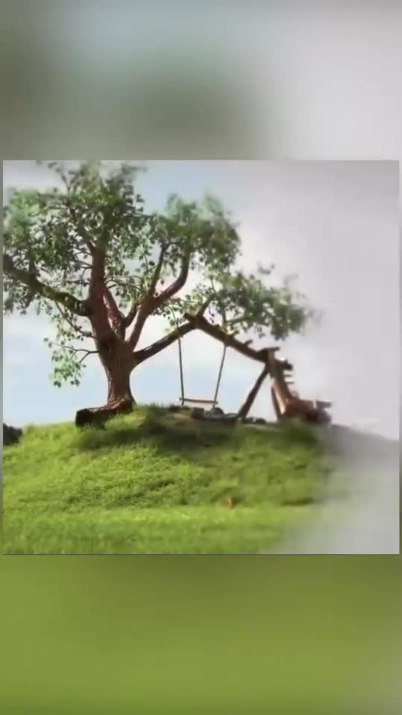 Connected Beings: The Symbiotic Relationship - One News Page VIDEO