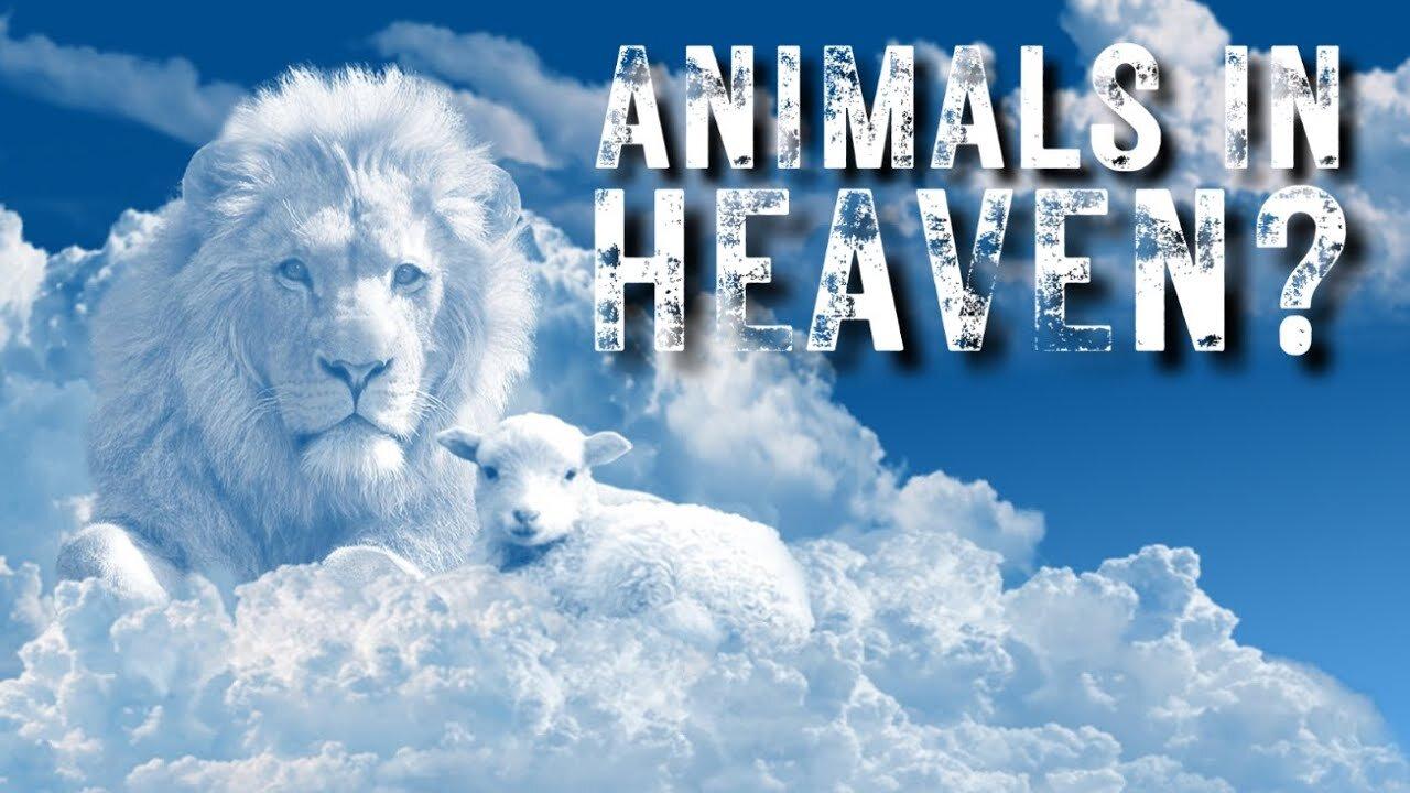 God's Relationship With Animals | Genesis - One News Page VIDEO