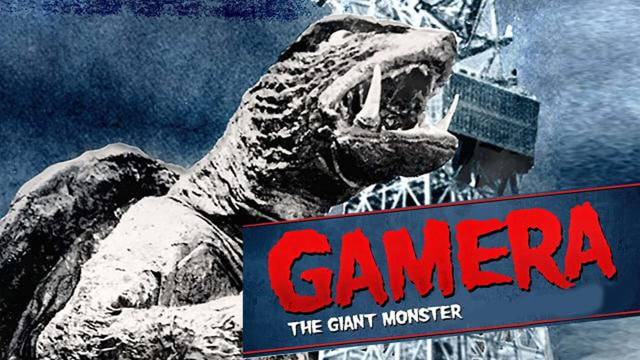 Monday Late Night Giant Turtle Stream 11PM EST - One News Page VIDEO