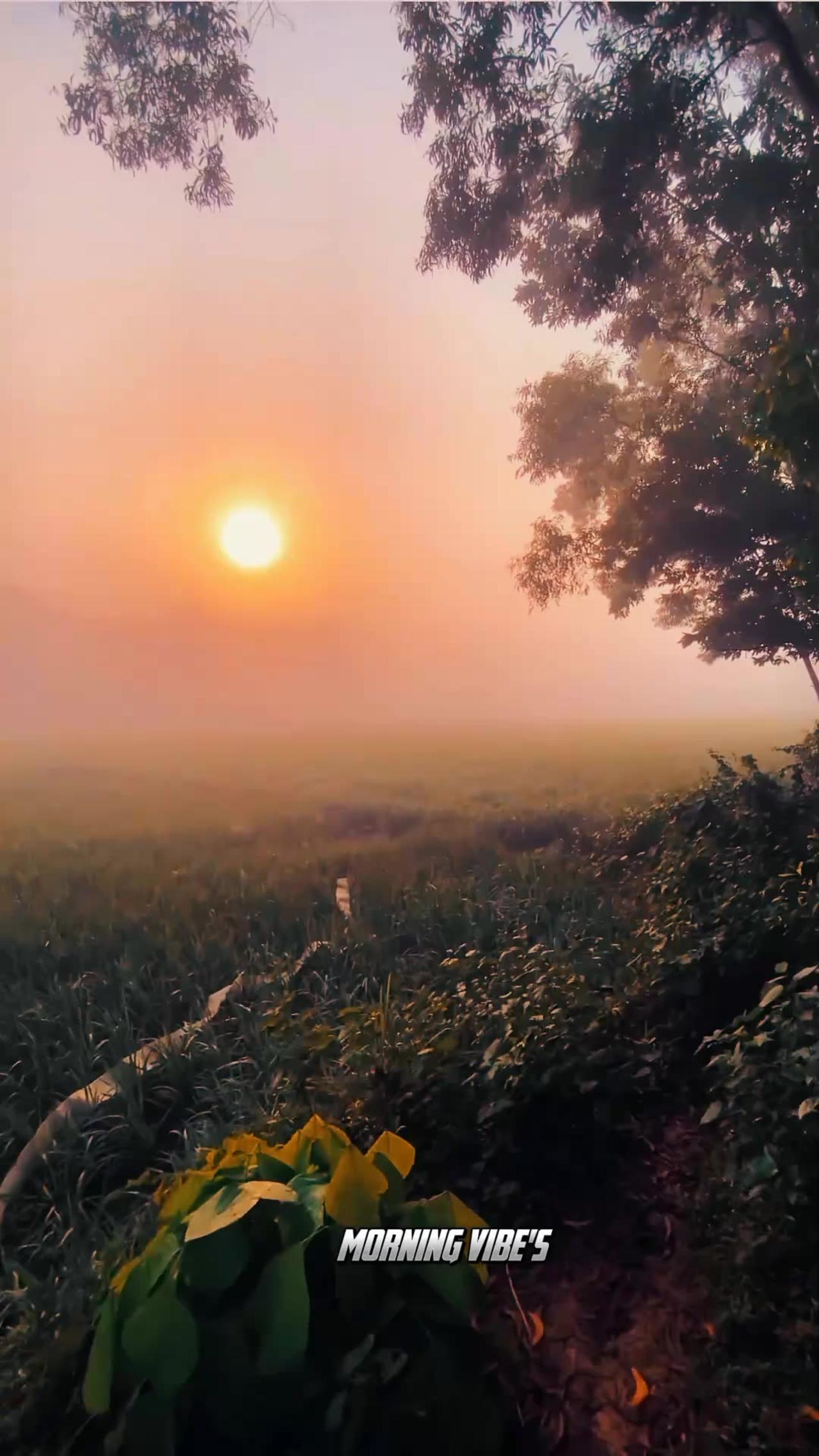 Winter morning vibes - One News Page VIDEO