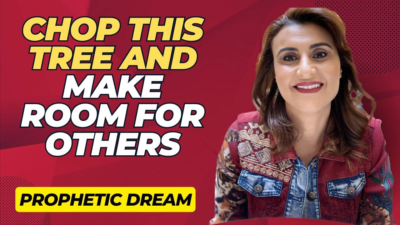 Chop This Tree & Make Room For Another- - One News Page VIDEO