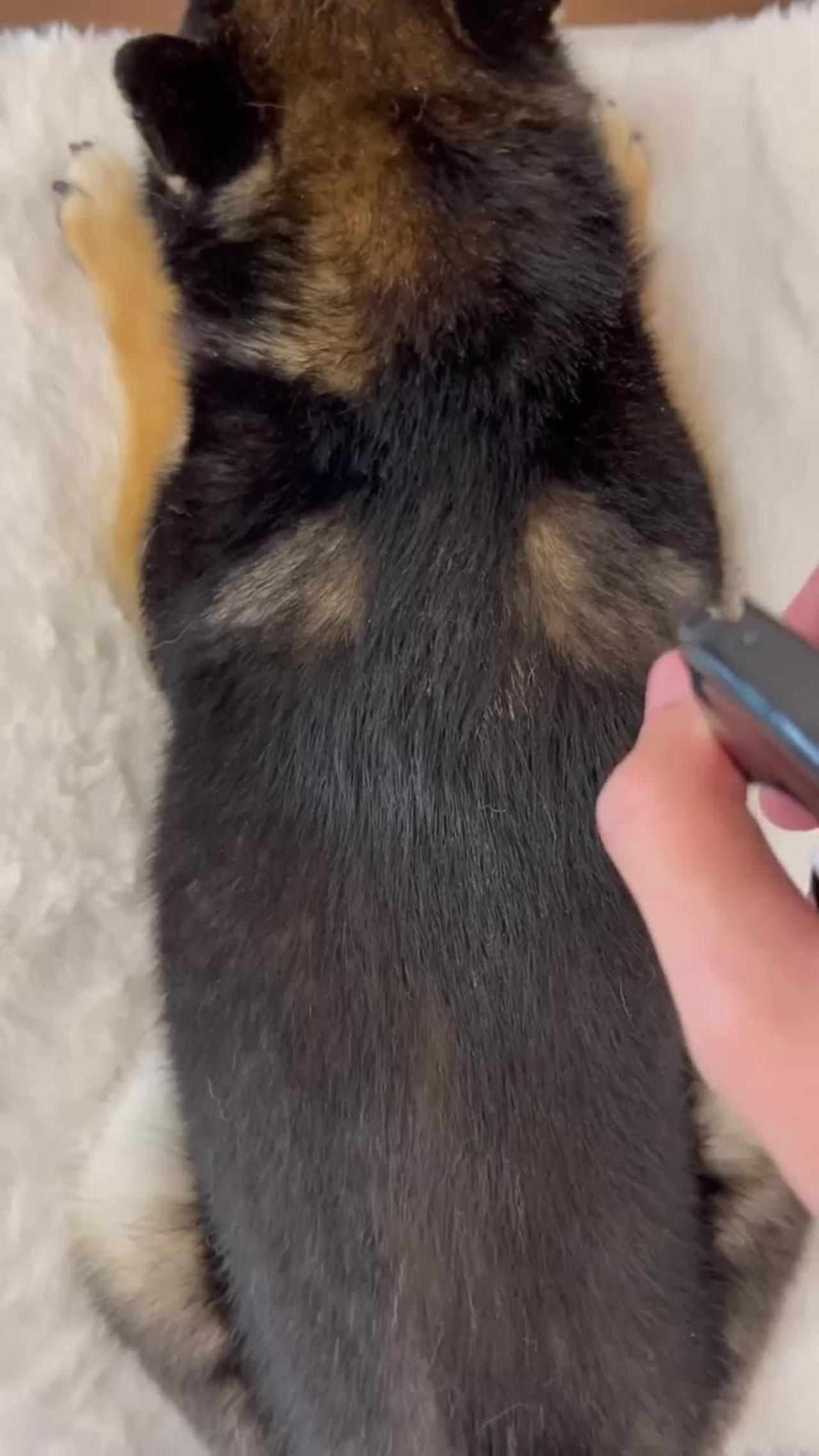 Manyu immersive treatment spa asmr - One News Page VIDEO