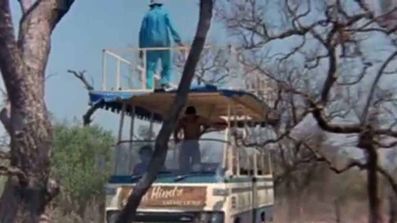 The Gods Must Be Crazy 1980 ( 266 X 640 ) - One News Page VIDEO
