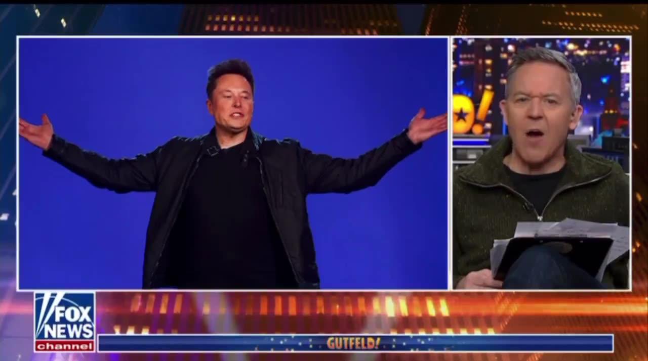 Gutfeld Shocks Audience When He Calls Out Fox - One News Page VIDEO