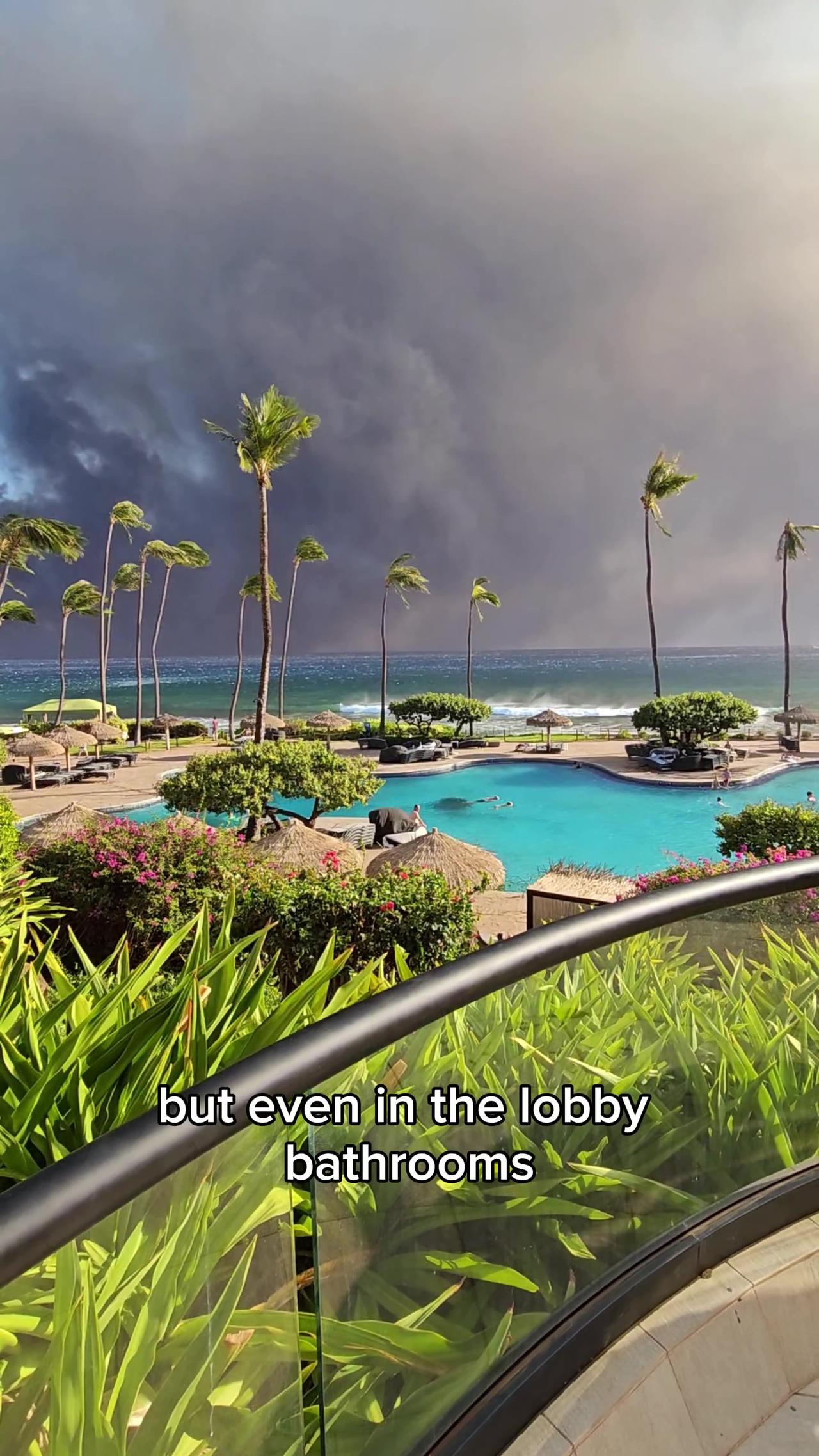 Lahaina West Maui Fire episode 1 - One News Page VIDEO