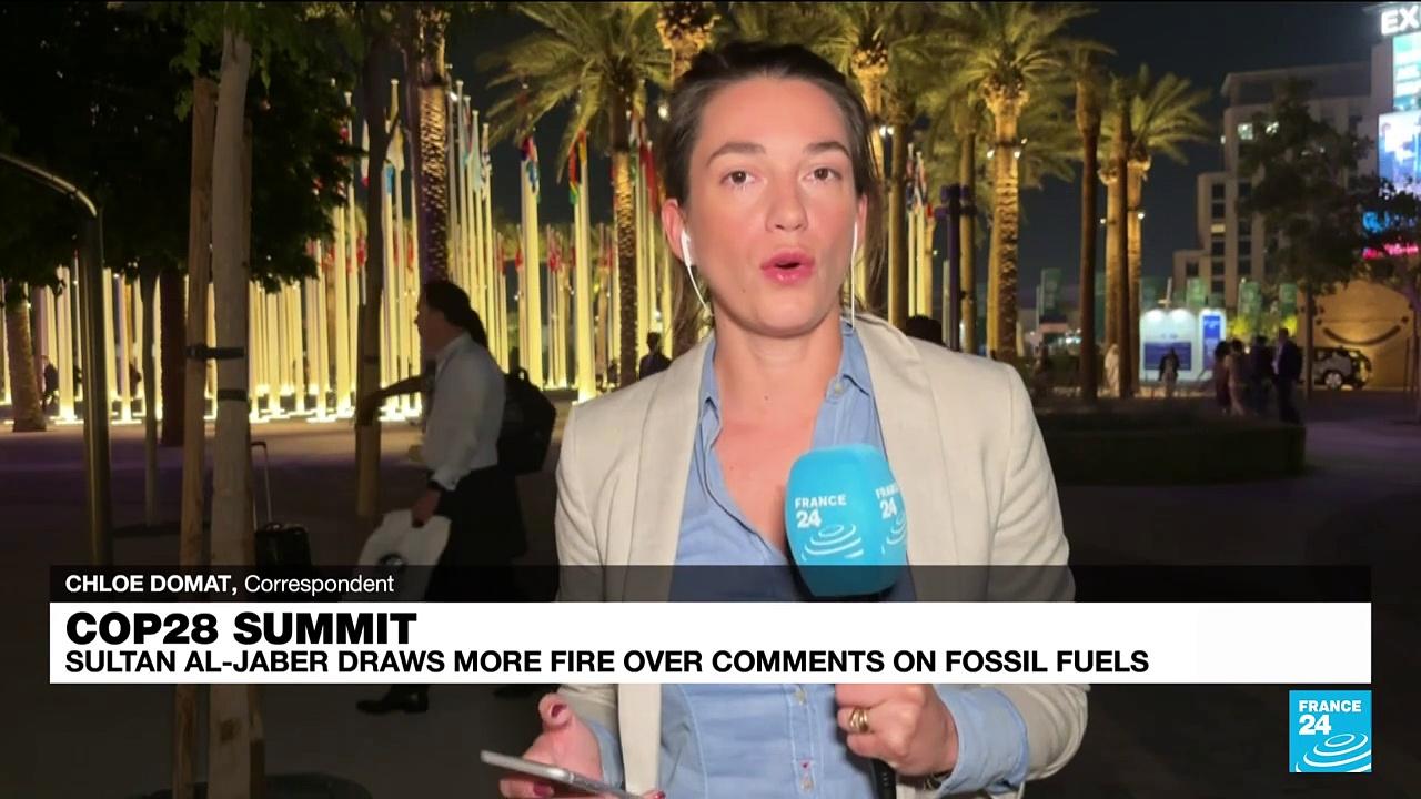 COP28's under-fire UAE chair says 'we respect' - One News Page VIDEO