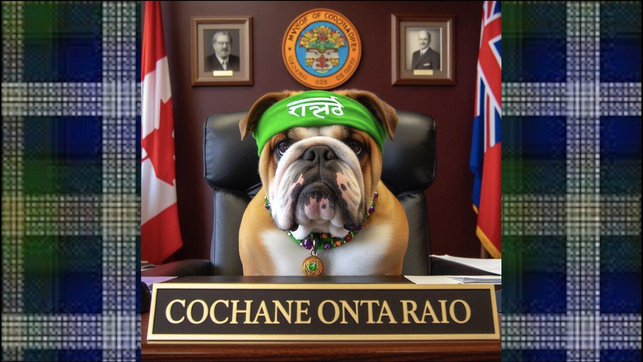 PLAID ARMY - One News Page VIDEO