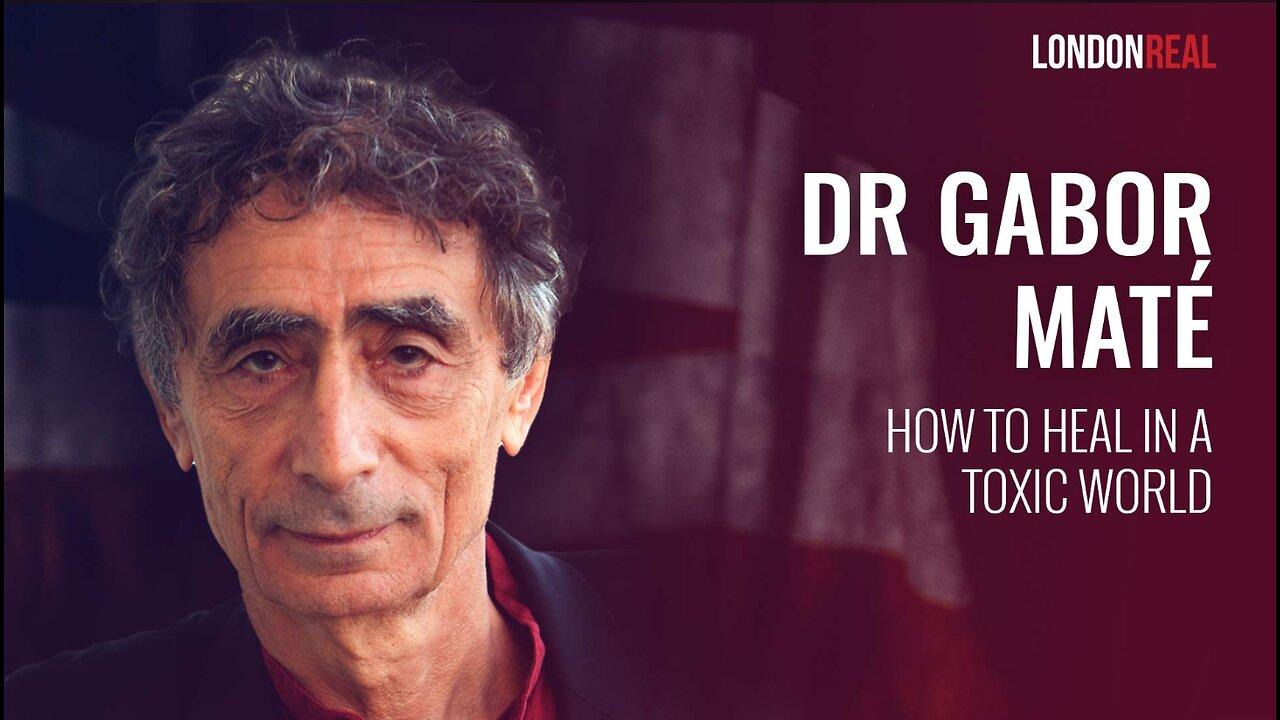 Dr Gabor Maté - The Myth of Normal: Trauma, - One News Page VIDEO