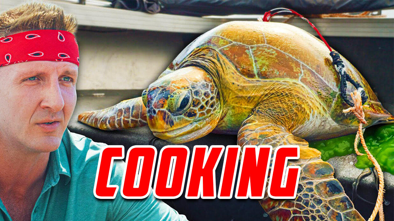 Cooking Sea Turtle!! Why The Australian - One News Page VIDEO