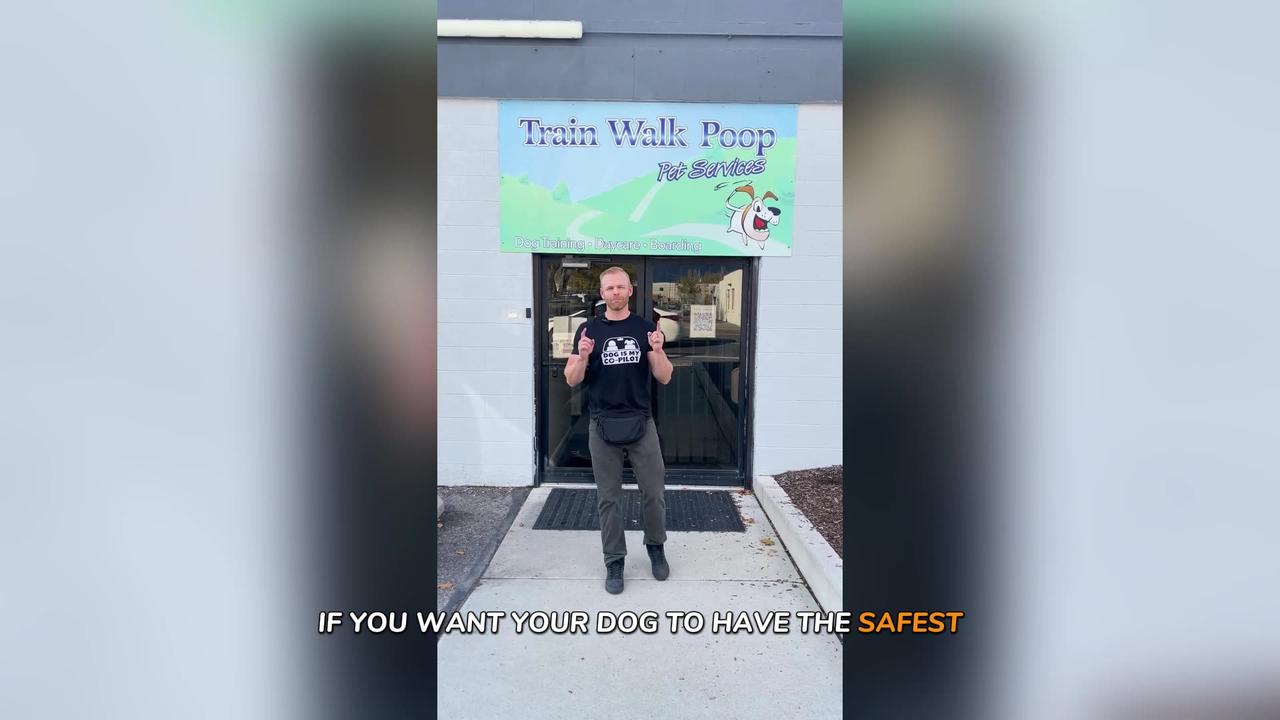 A Day of Deluxe Daycare at Train Walk Poop - One News Page VIDEO