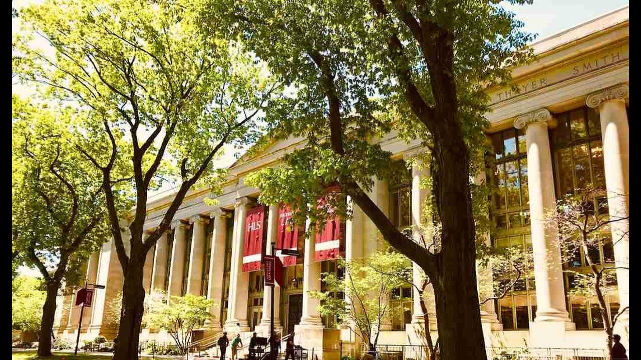 Harvard President, Under Intense Pressure to - One News Page VIDEO