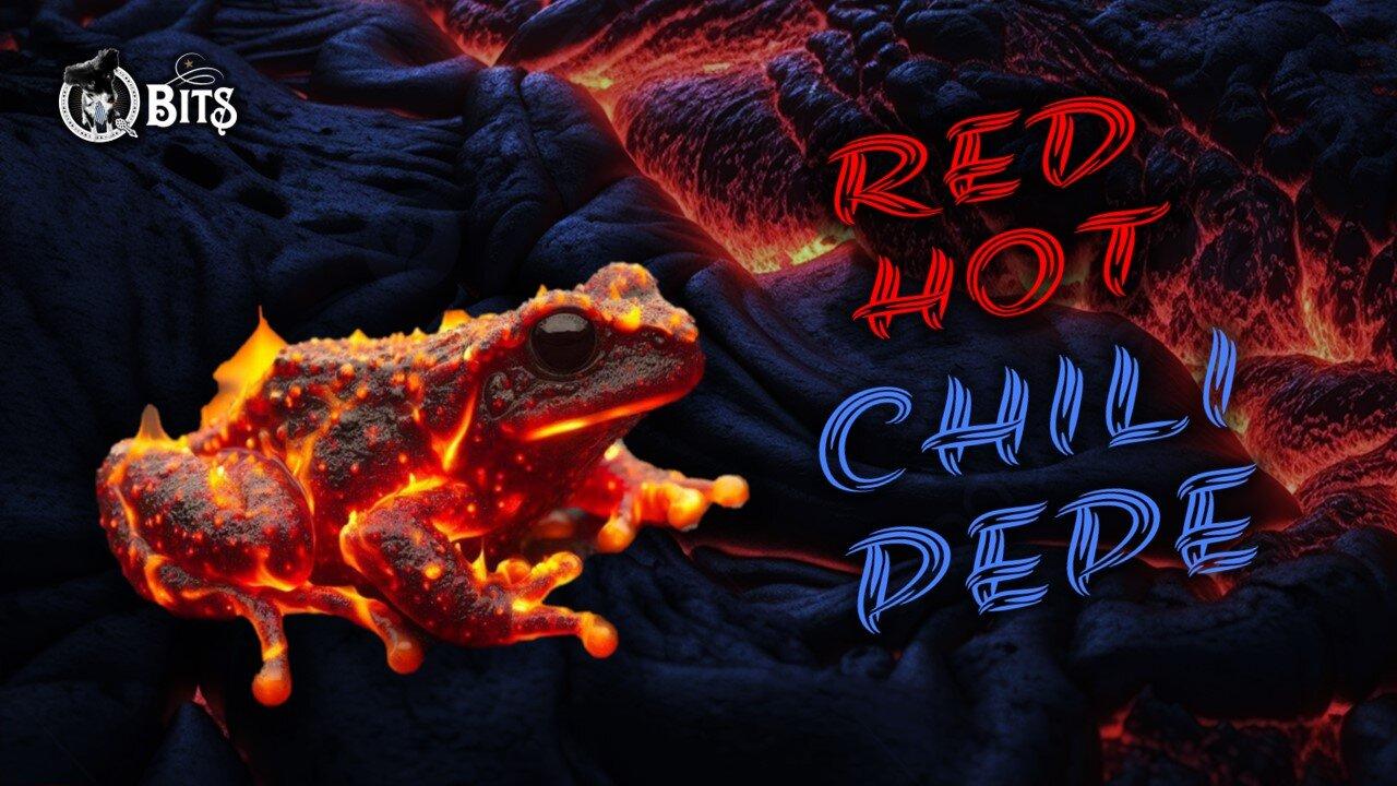 #804 // RED HOT CHILI PEPE - LIVE - One News Page VIDEO