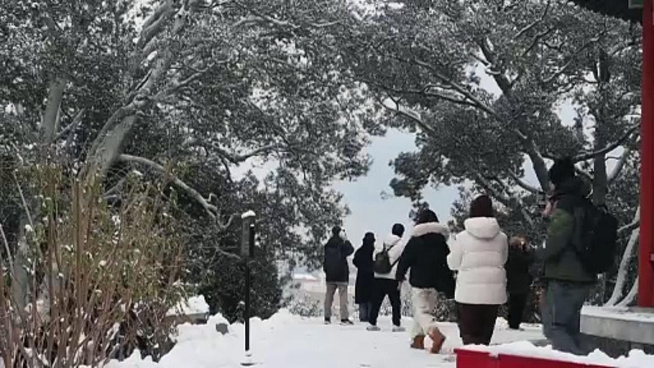 Beijing residents enjoy the capital's first snow - One News Page VIDEO