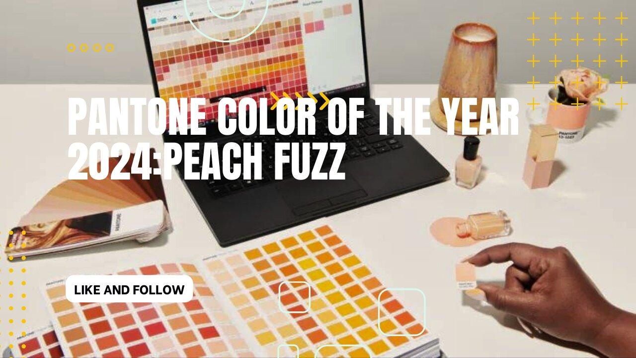 Inside Pantone, The Company That Turns Color - One News Page VIDEO