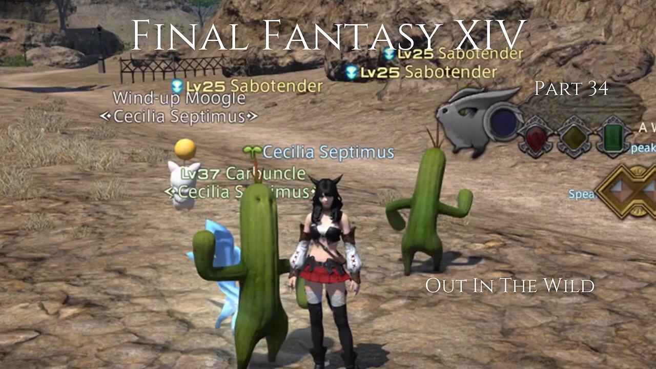 Final Fantasy XIV Part 34 - Out In The Wild - One News Page VIDEO