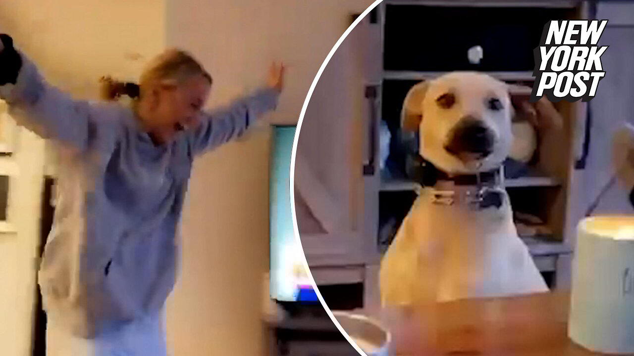 Does this dog say 'I love you'? Hear - One News Page VIDEO