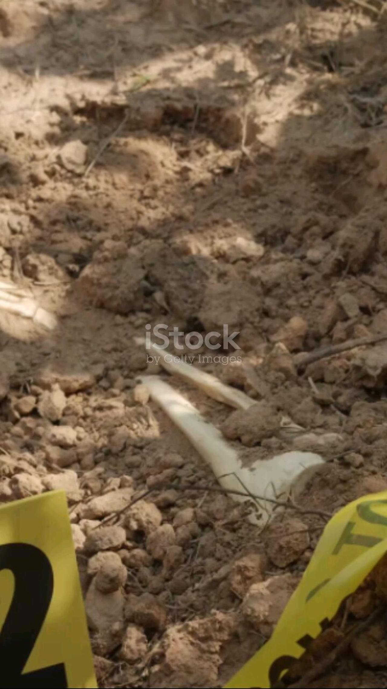 Chalk Line Crime: The Hunt for The West Mesa - One News Page VIDEO