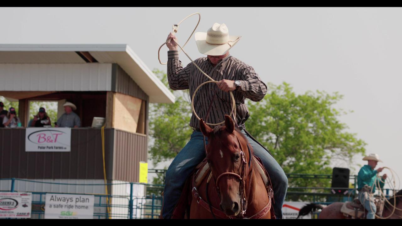 Tie Down Roping 4k - One News Page VIDEO