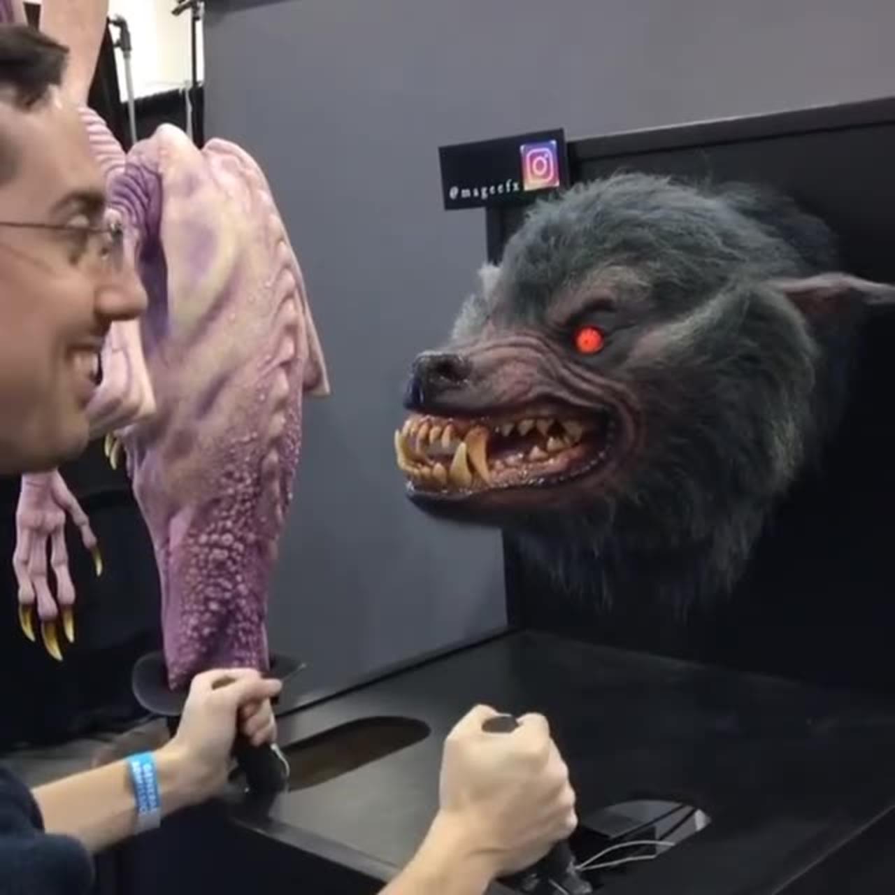 Horror Dog - One News Page VIDEO