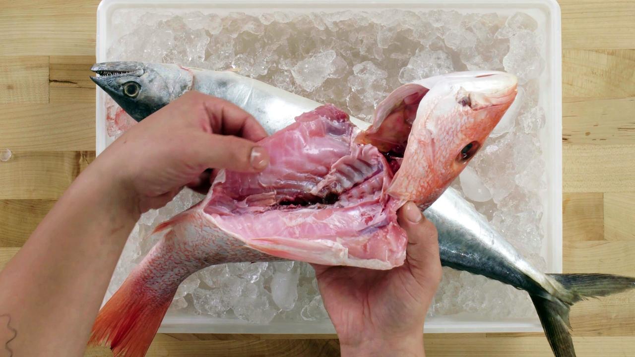 How a Fish Expert Picks the Best Fish Every Time - One News Page VIDEO
