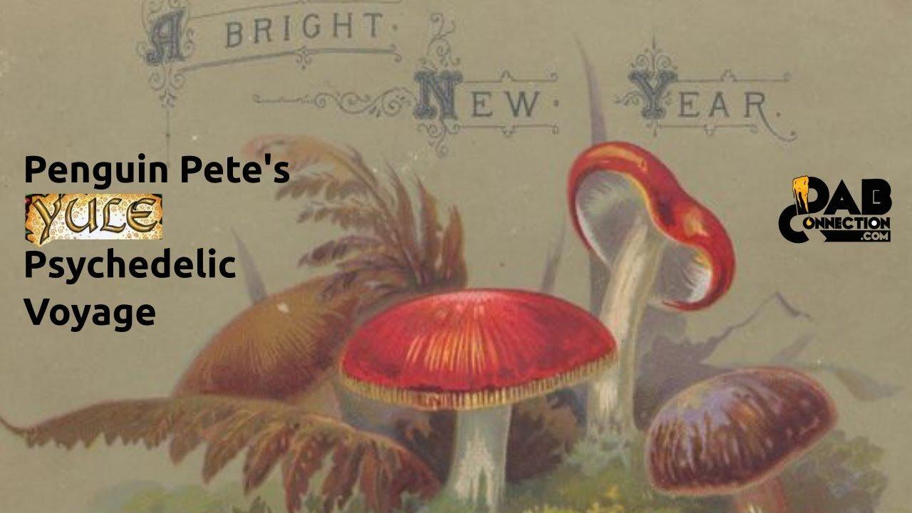 Penguin Pete's Yule Psychedelic Voyage part - One News Page VIDEO