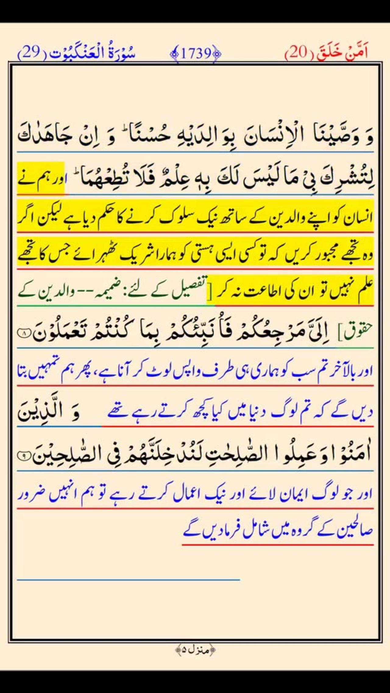 Quran recitation - One News Page VIDEO