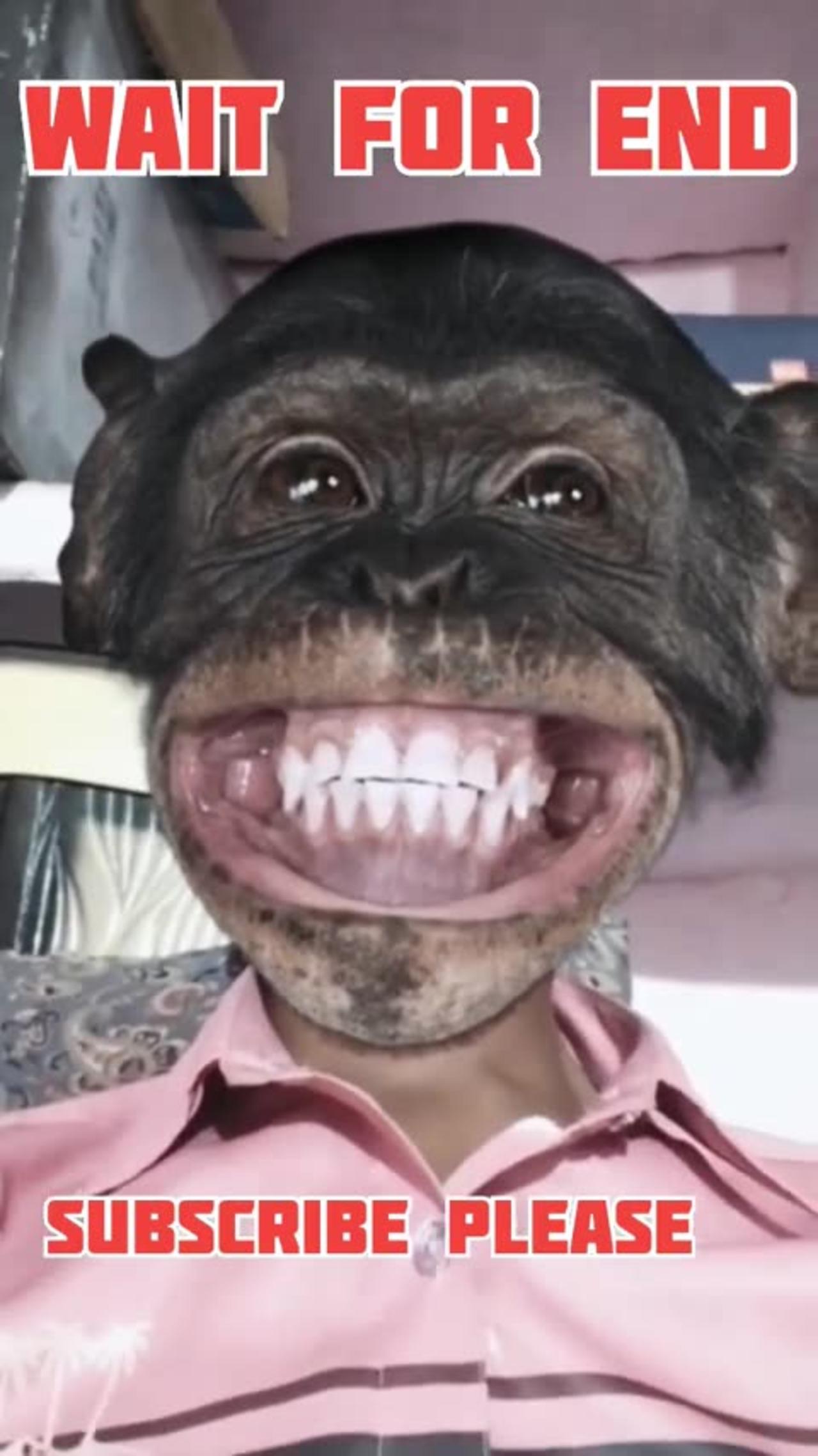 Instagram Viral Shorts: Amazing People and Their - One News Page VIDEO