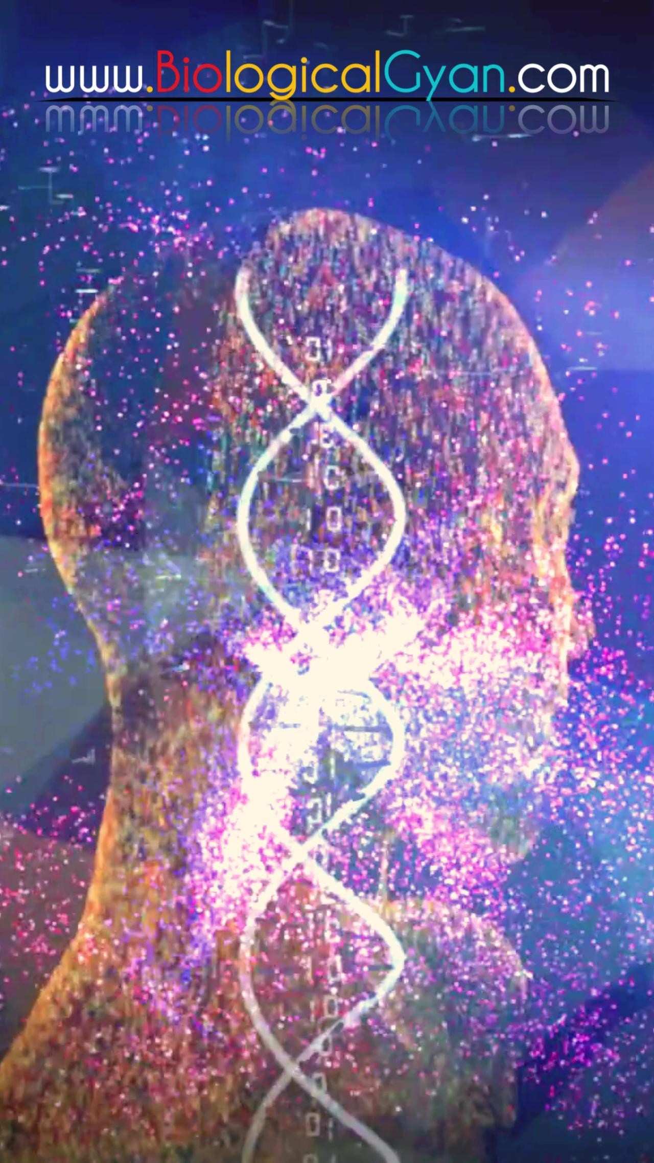 ANATOMY OF DNA - One News Page VIDEO