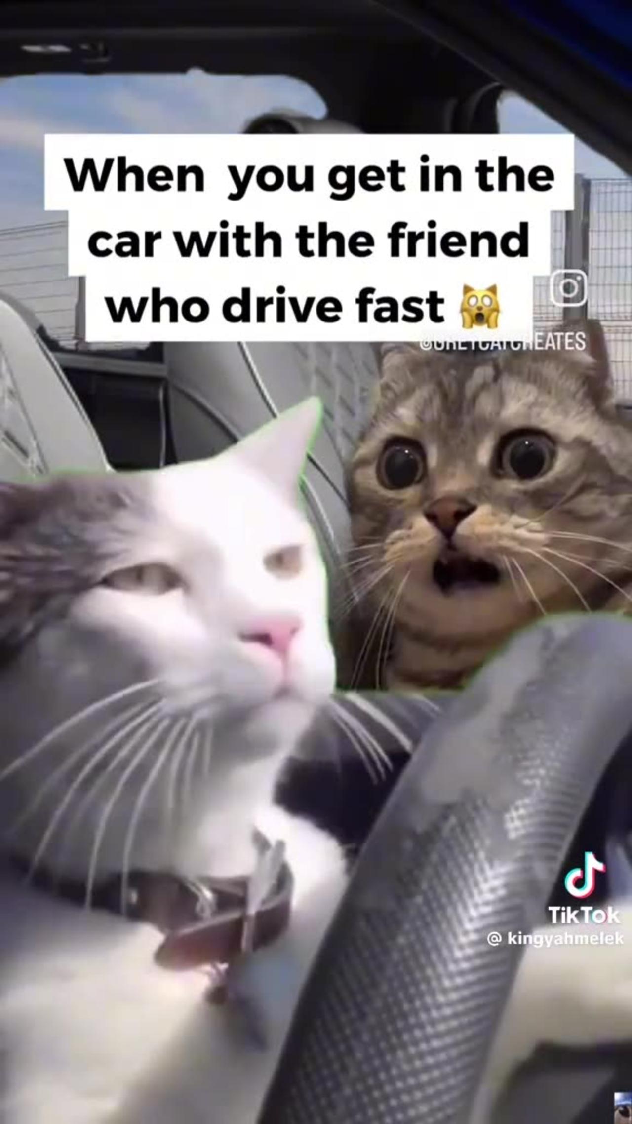 WHEN U GET IN THE CAR WITH A FRIEND THAT DRIVES - One News Page VIDEO