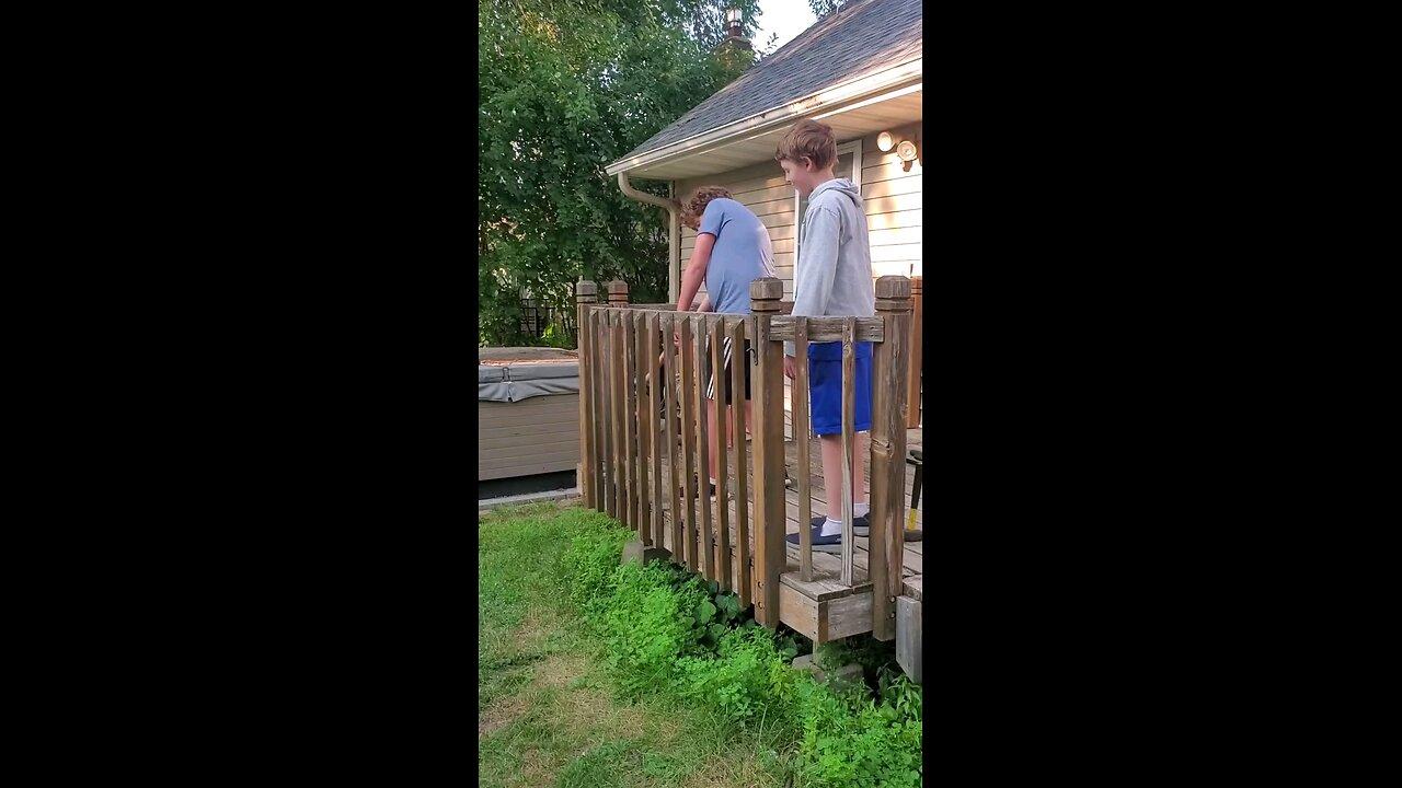 Funny clip - One News Page VIDEO