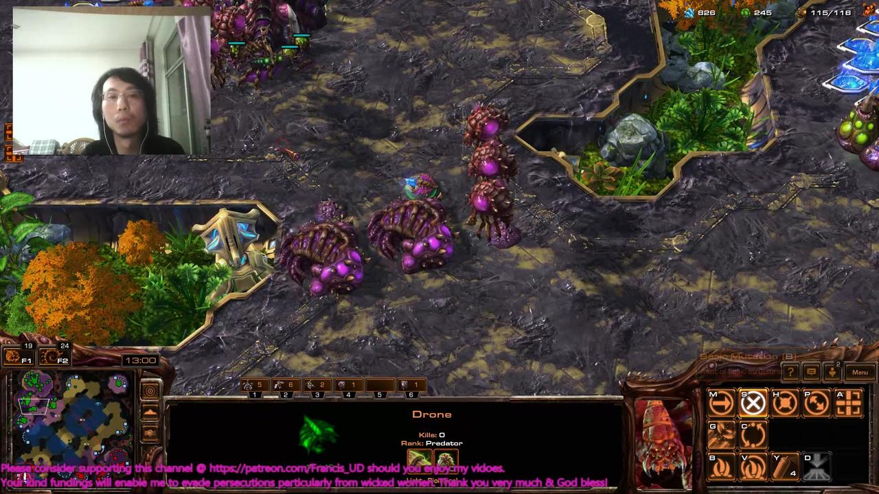 SC2 two zvzs all terribly defeated tonight by - One News Page VIDEO