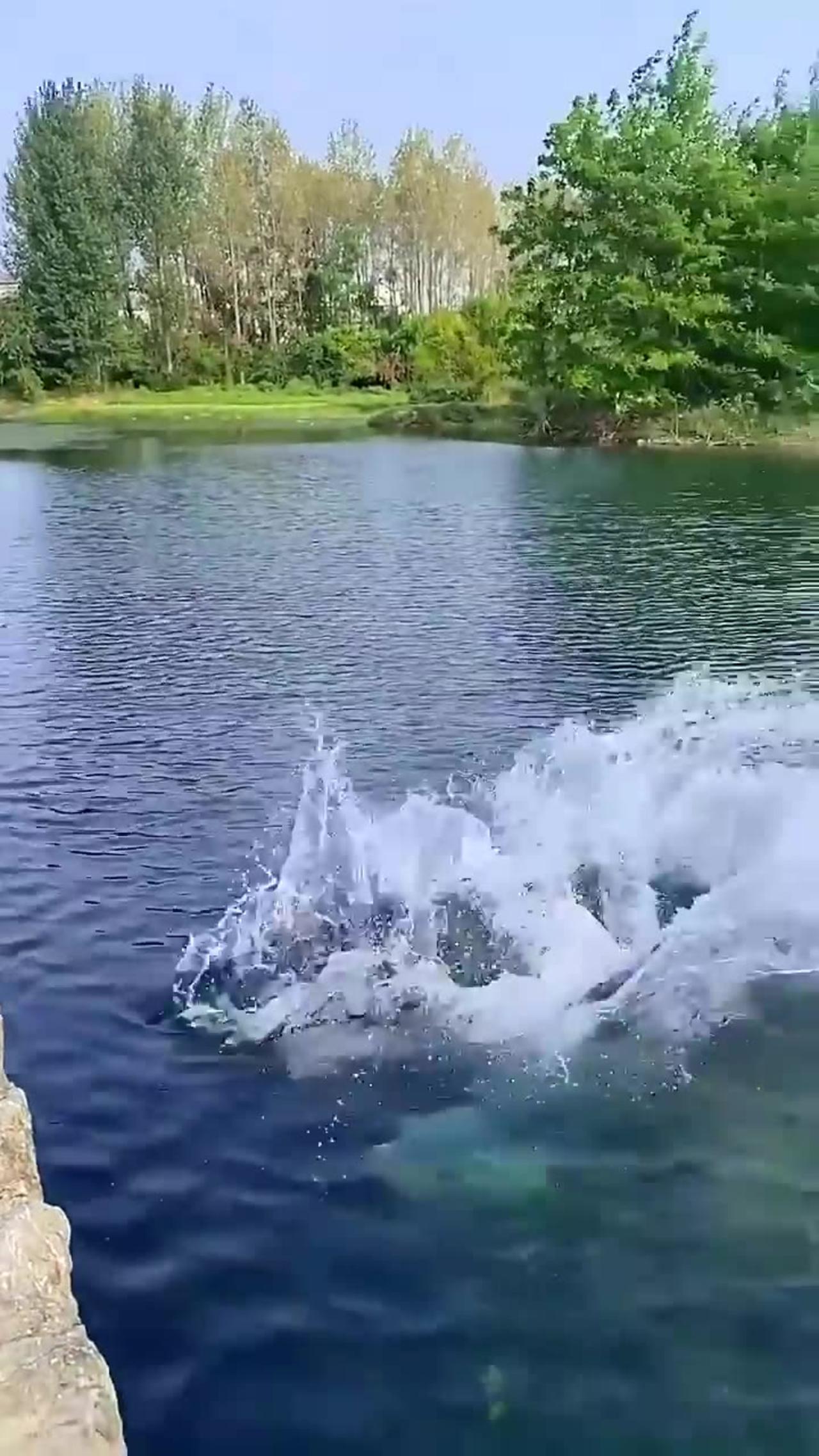 Funny video subscribe for more - One News Page VIDEO