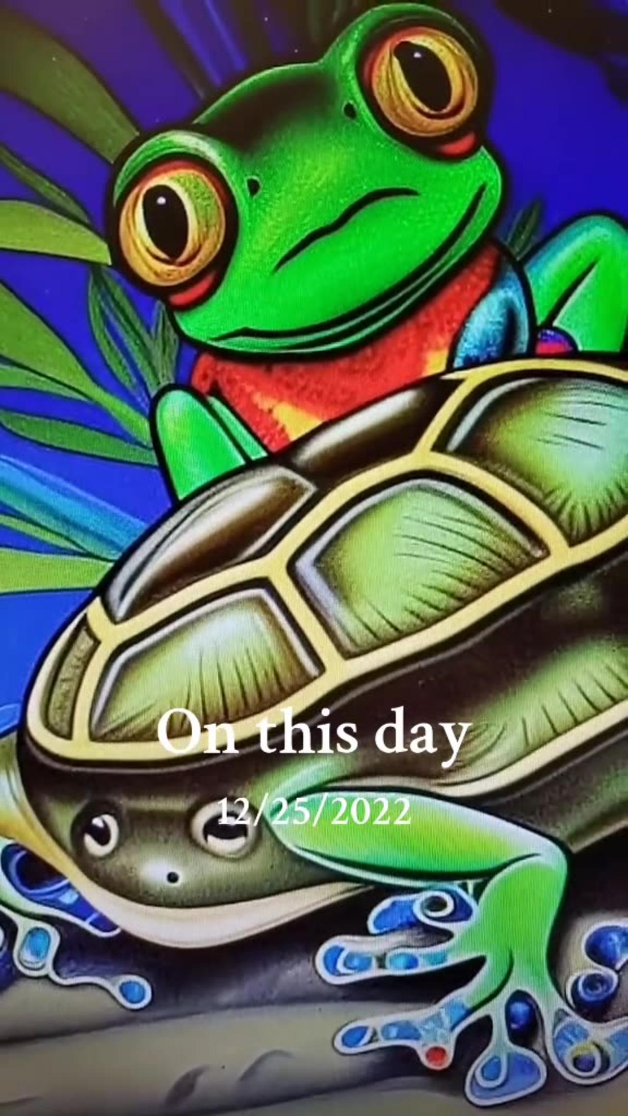 Frog turtle story - One News Page VIDEO