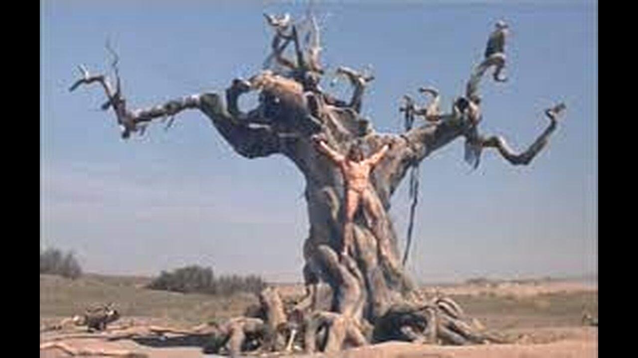 Tree of Woe: American Annihilation! - One News Page VIDEO