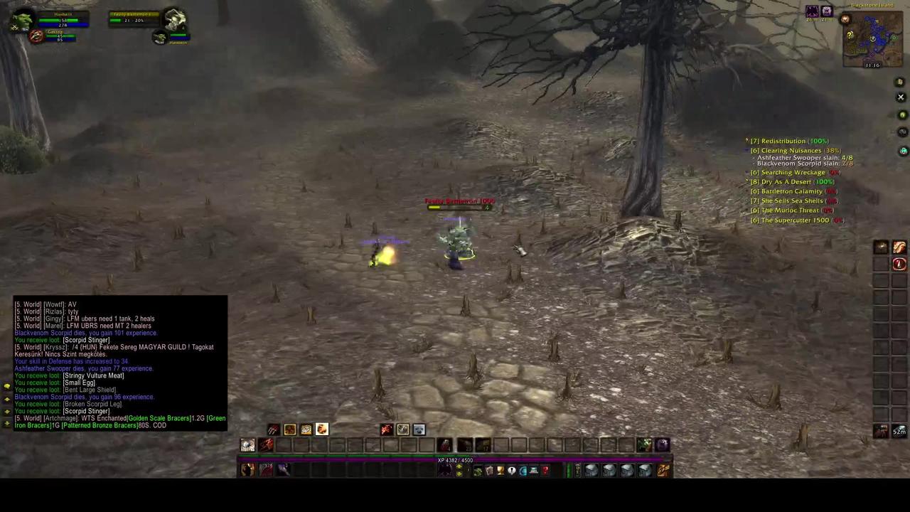 Turtle Wow - The adventures of a hard skinned - One News Page VIDEO