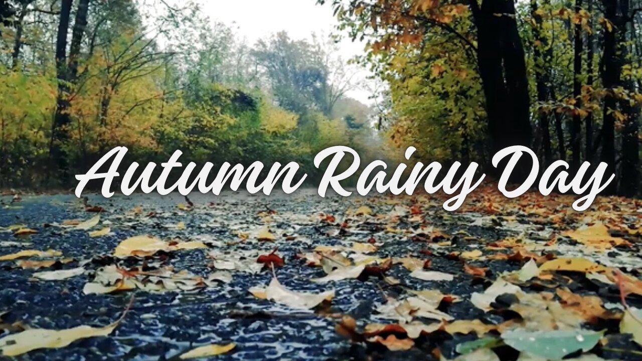 Autumn / Fall Rainy Day | Relaxing rain sounds - One News Page VIDEO