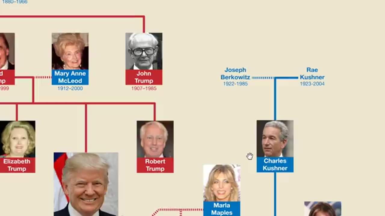Donald Trump's Family Tree - One News Page VIDEO