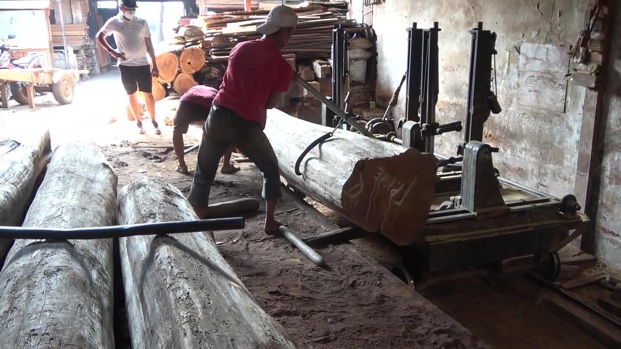 Sawmill Process Teak Wood Dry Seamless Texture - One News Page VIDEO