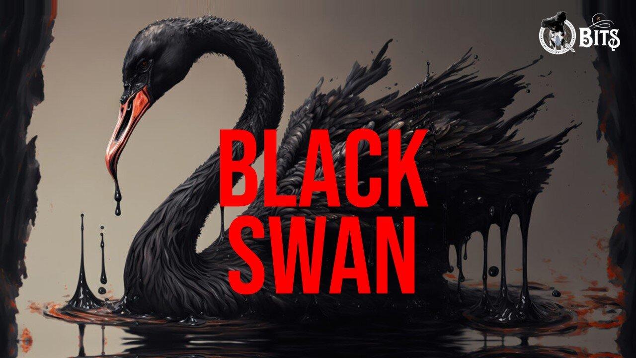 #811 // BLACK SWAN - LIVE - One News Page VIDEO