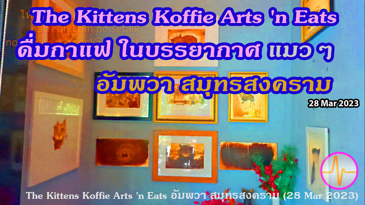 Cafe The Kittens Koffie Arts 'n Eats - One News Page VIDEO