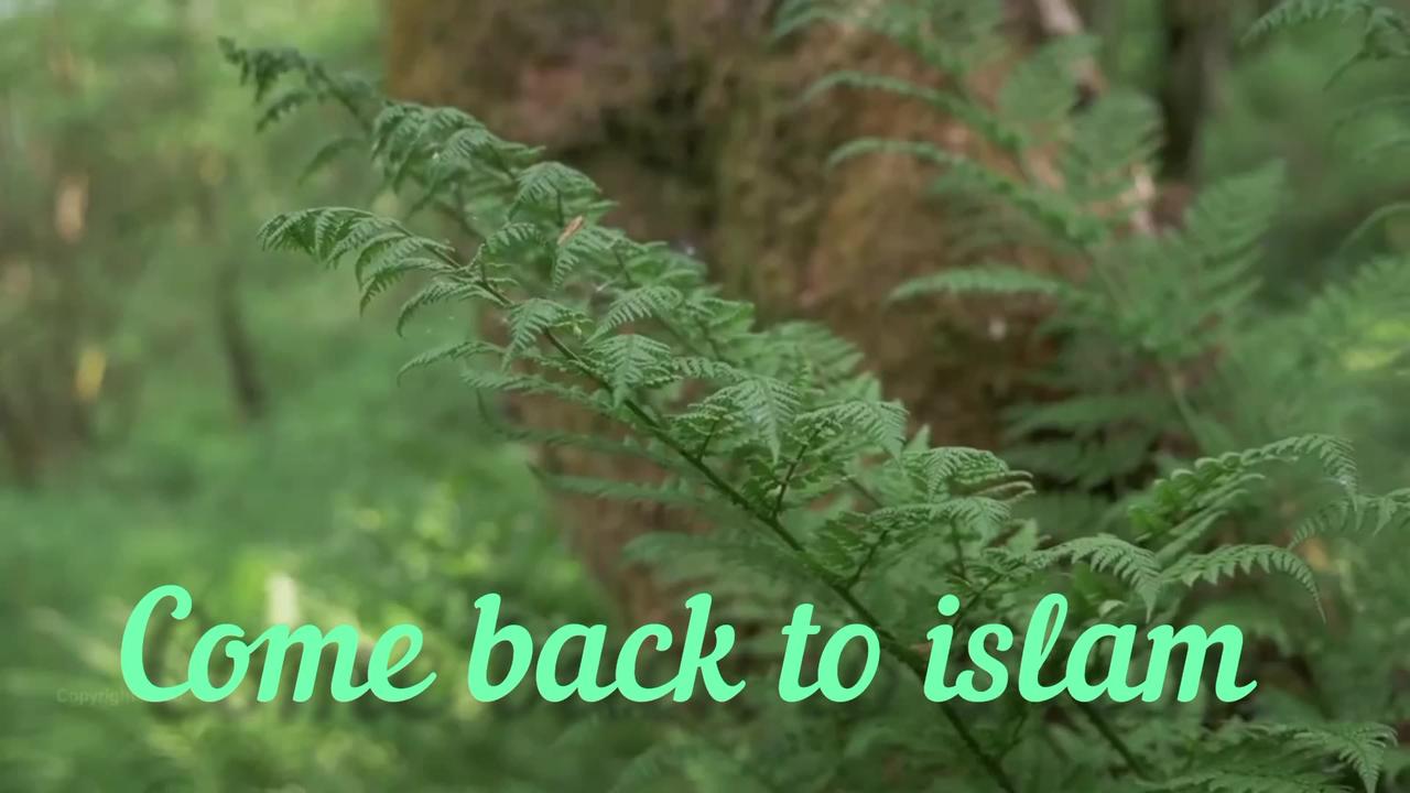 An amazing voice of recitation, beautiful voice, - One News Page VIDEO
